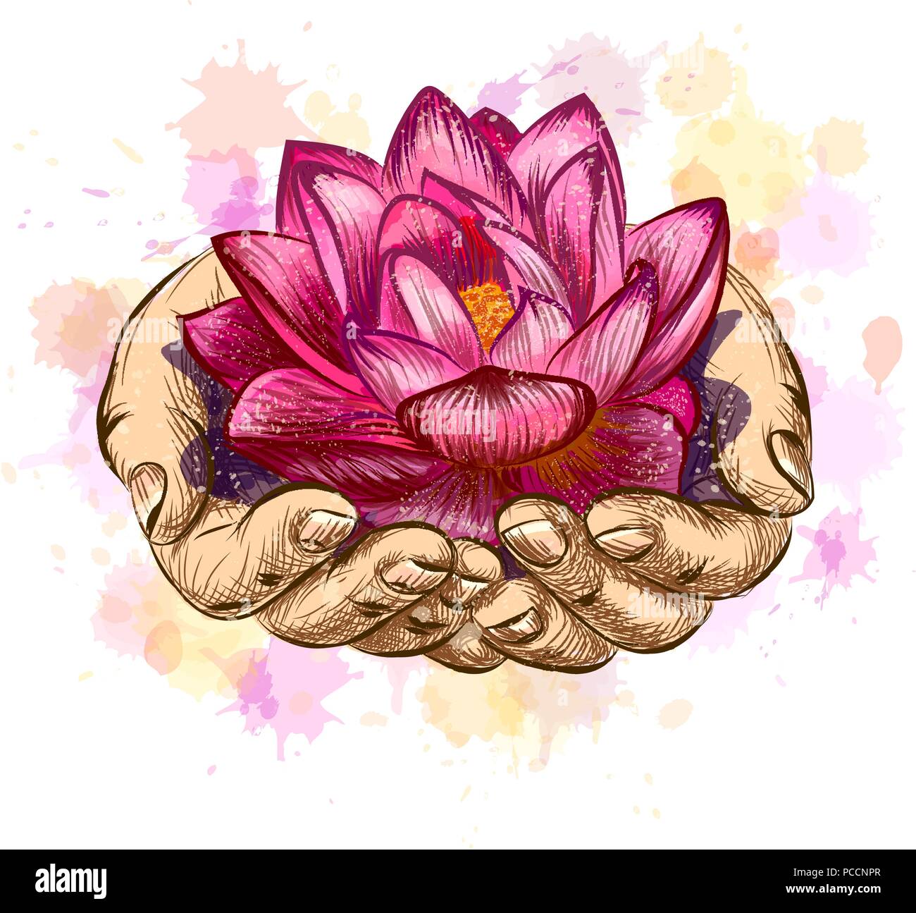 Hand holding lotus flower illustration Stock Vector Images - Alamy