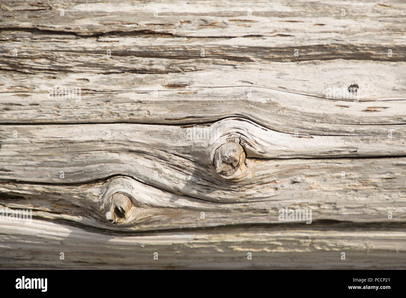 Close-up weathered silvery cedar lumber wood background wallpaper Stock ...