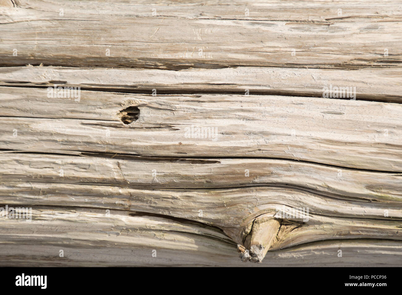 Close-up weathered silvery cedar lumber wood background wallpaper Stock ...