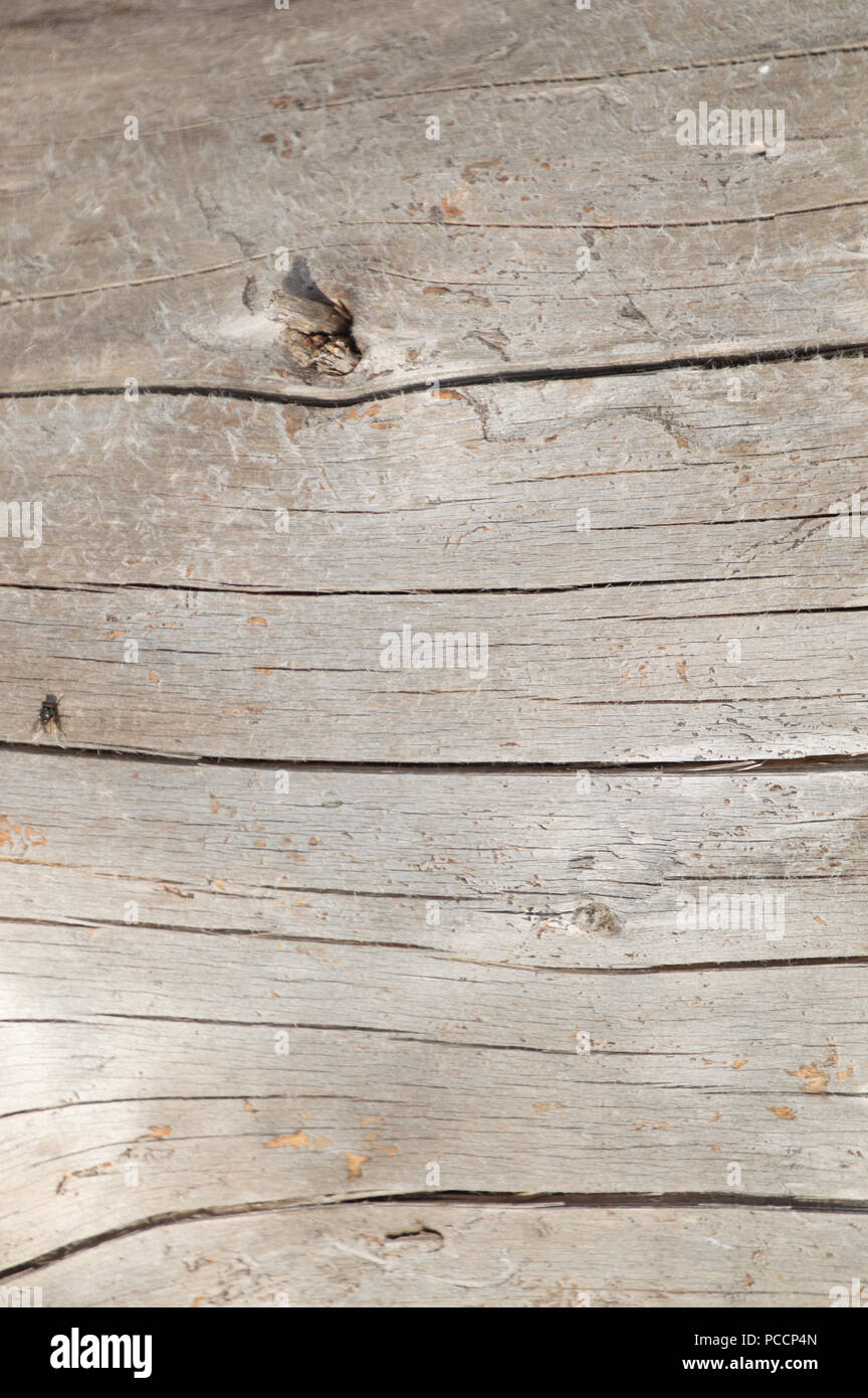 Close-up weathered silvery cedar lumber wood background wallpaper Stock ...
