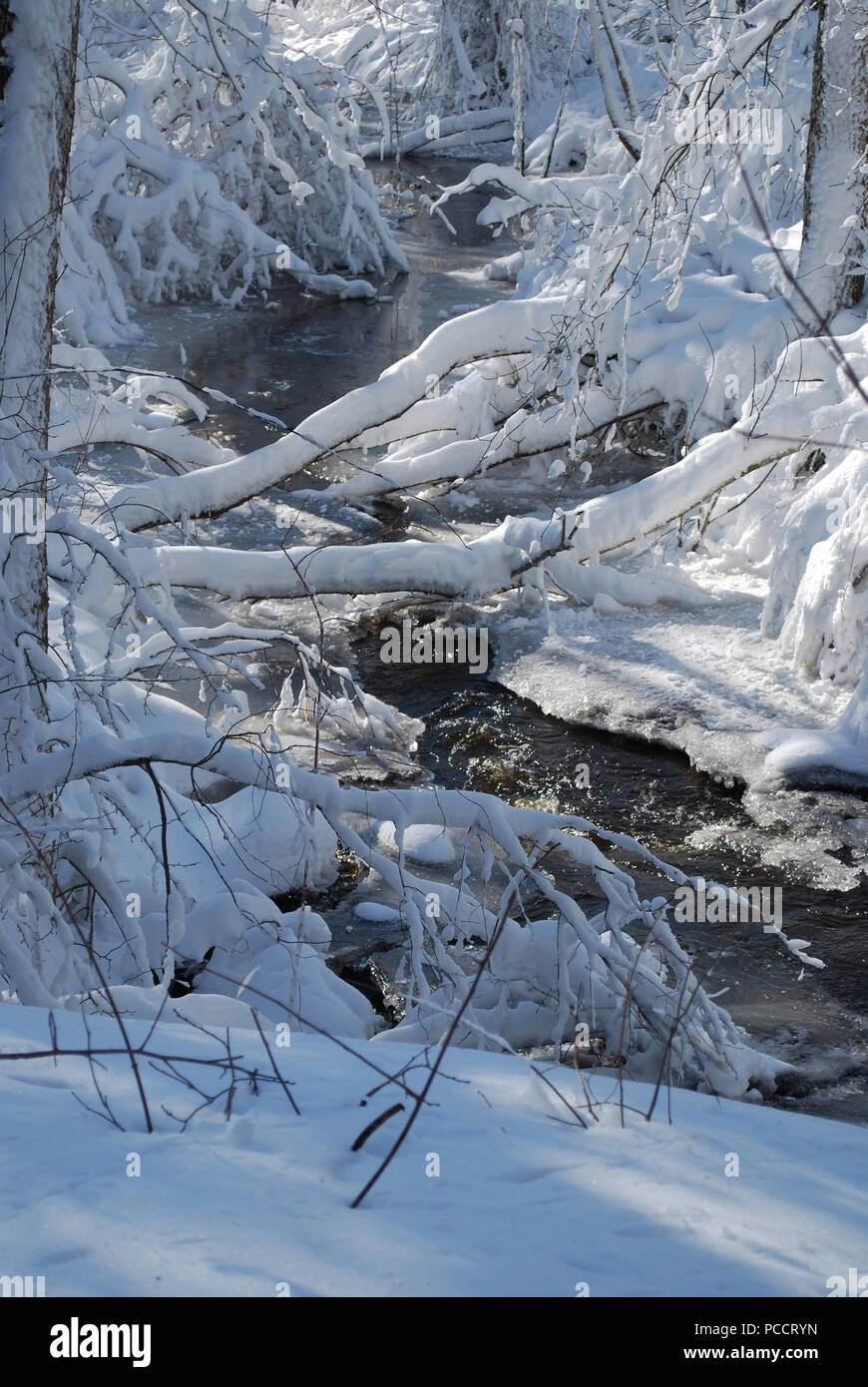 Moving stream of water in a beautiful woods Stock Photo - Alamy