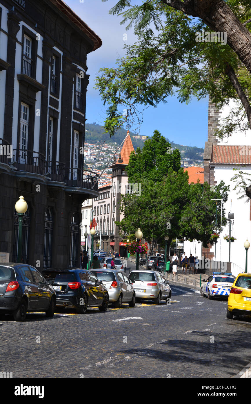Avenida arriaga funchal madeira street hi-res stock photography and ...