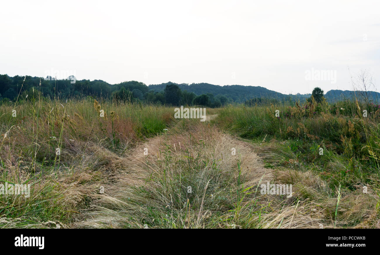 Trace Grass High Resolution Stock Photography and Images - Alamy