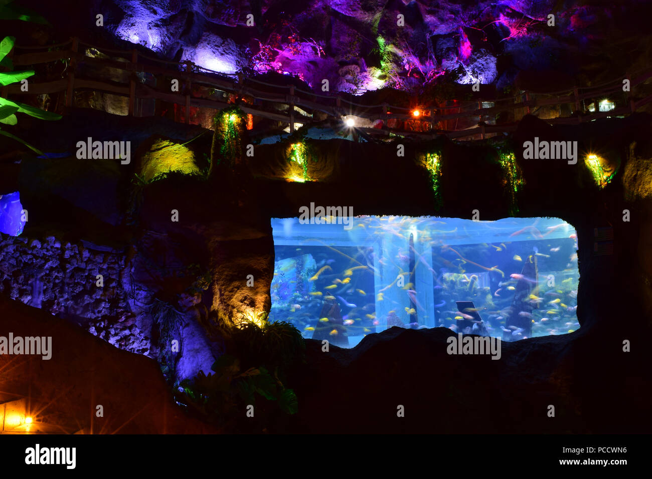 Aqua museum in Hamedan Stock Photo - Alamy