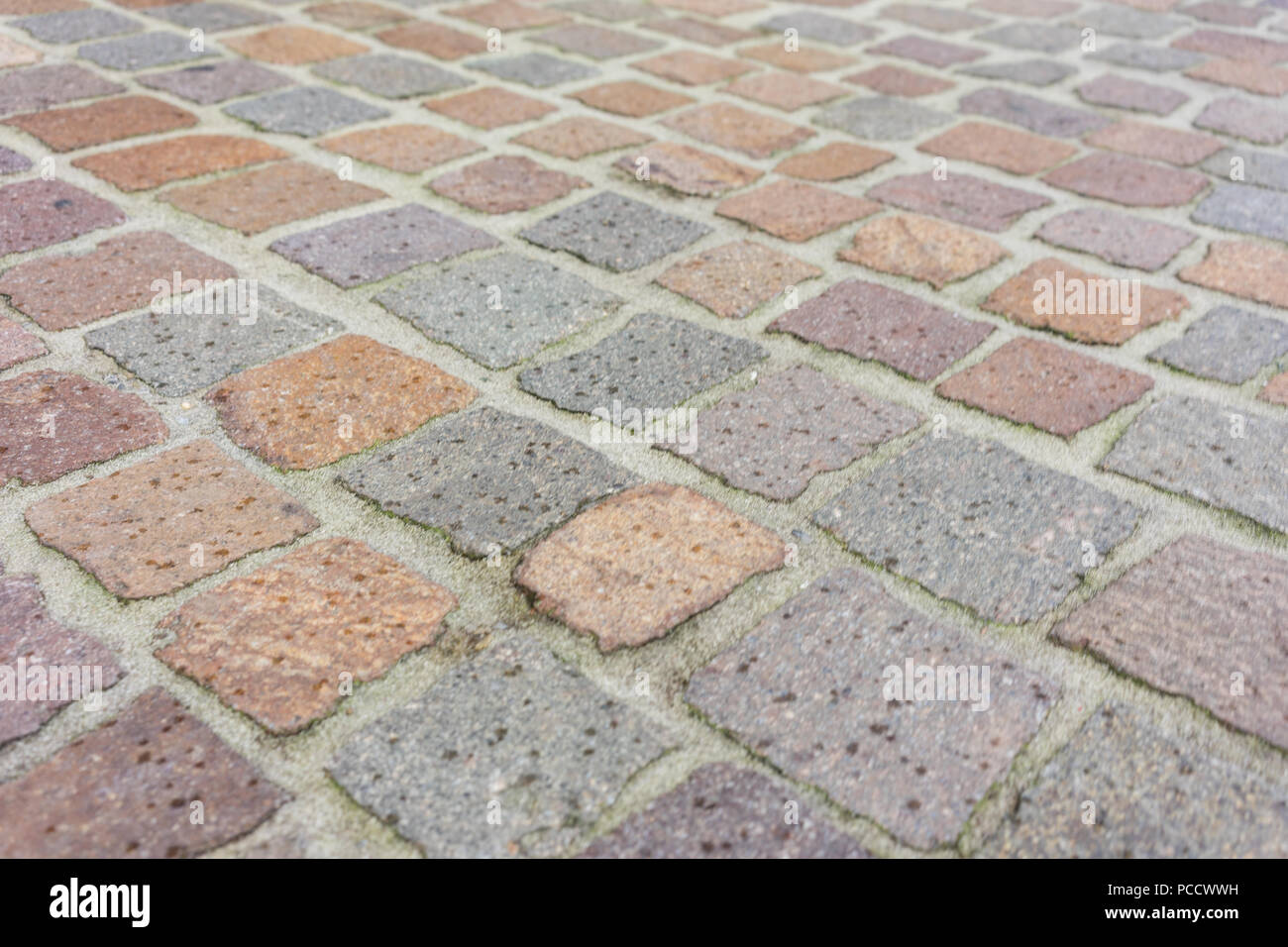 cobblestone path way with different stone colours design Stock Photo ...