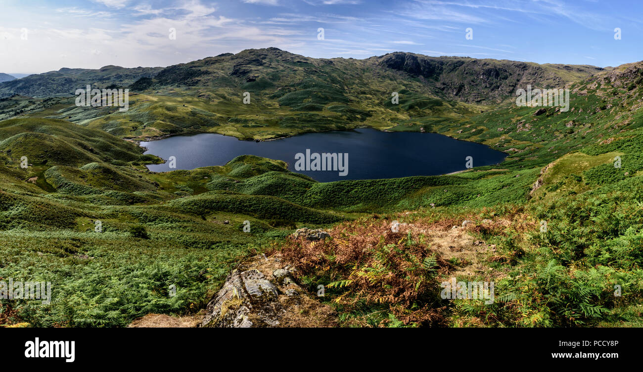 Easedale tarn summer hi-res stock photography and images - Alamy