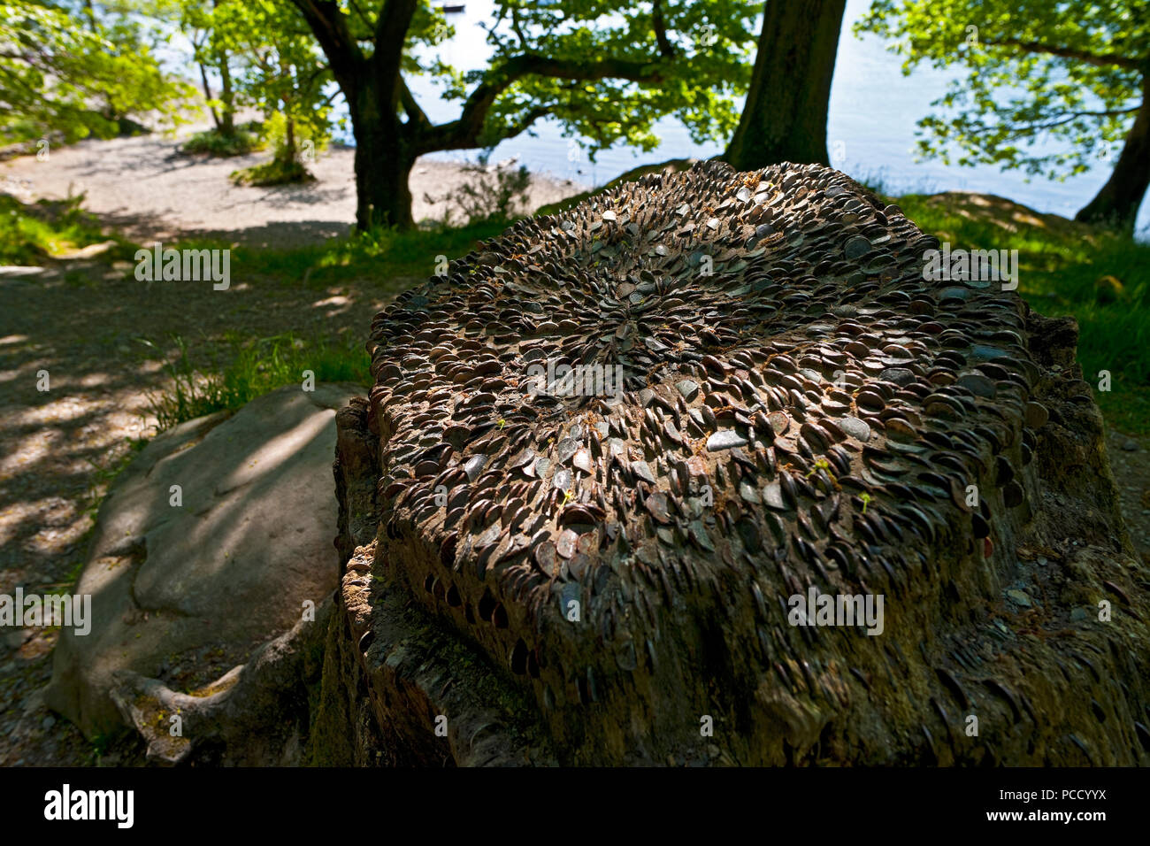 Coins embedded in a tree trunk Cumbria England UK United Kingdom GB ...