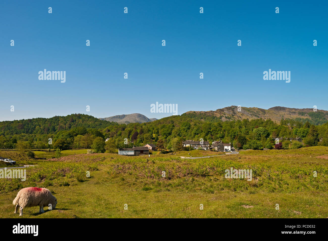 Elterwater village in summer Lake District National Park Cumbria ...