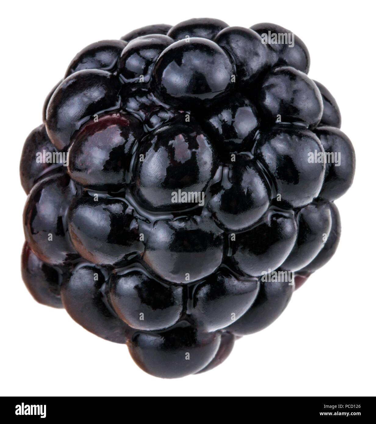 Blackberry isolated on white background clipping path Stock Photo - Alamy