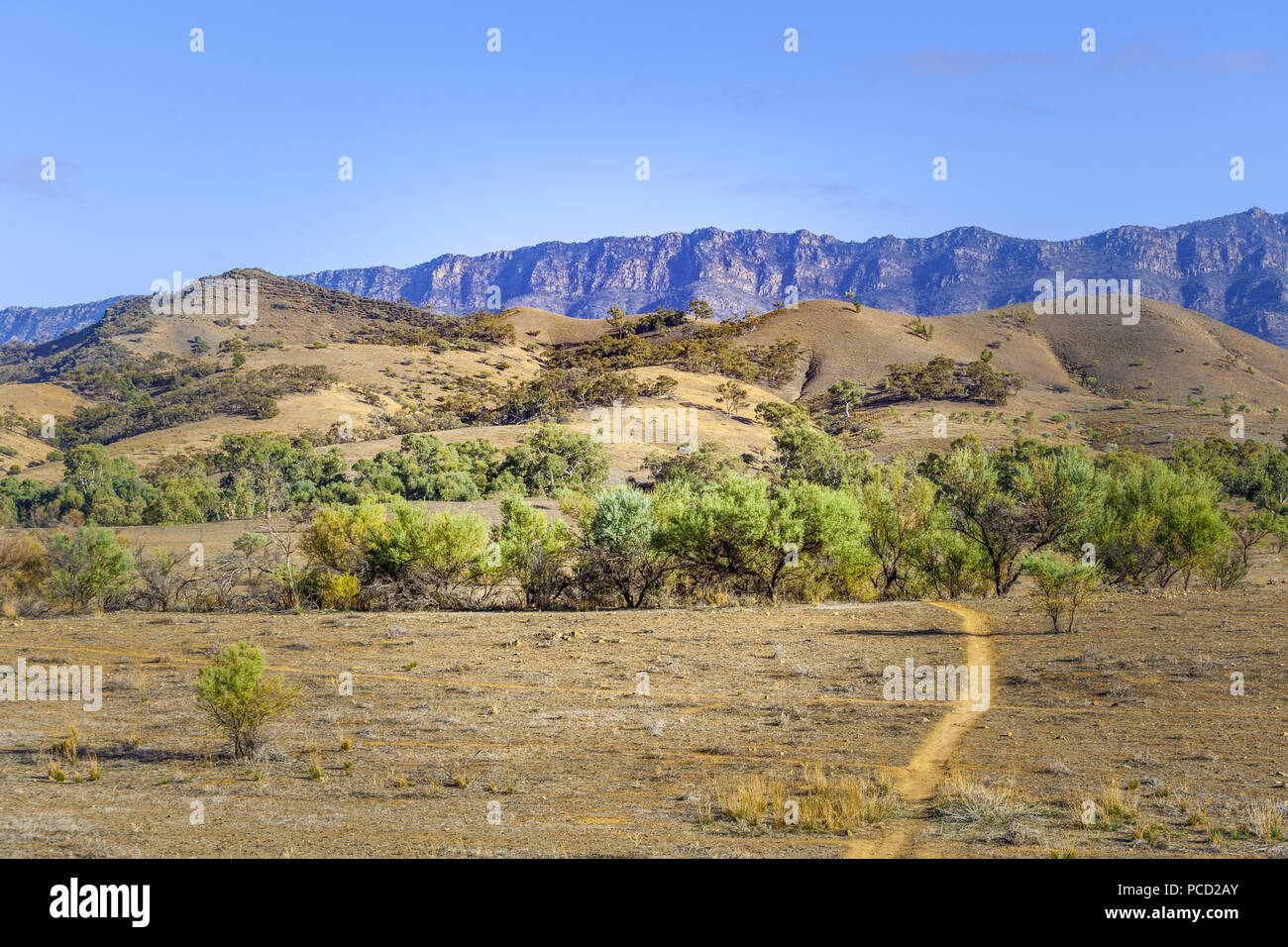 Landscape of Flinders Ranges in South Australia Stock Photo - Alamy