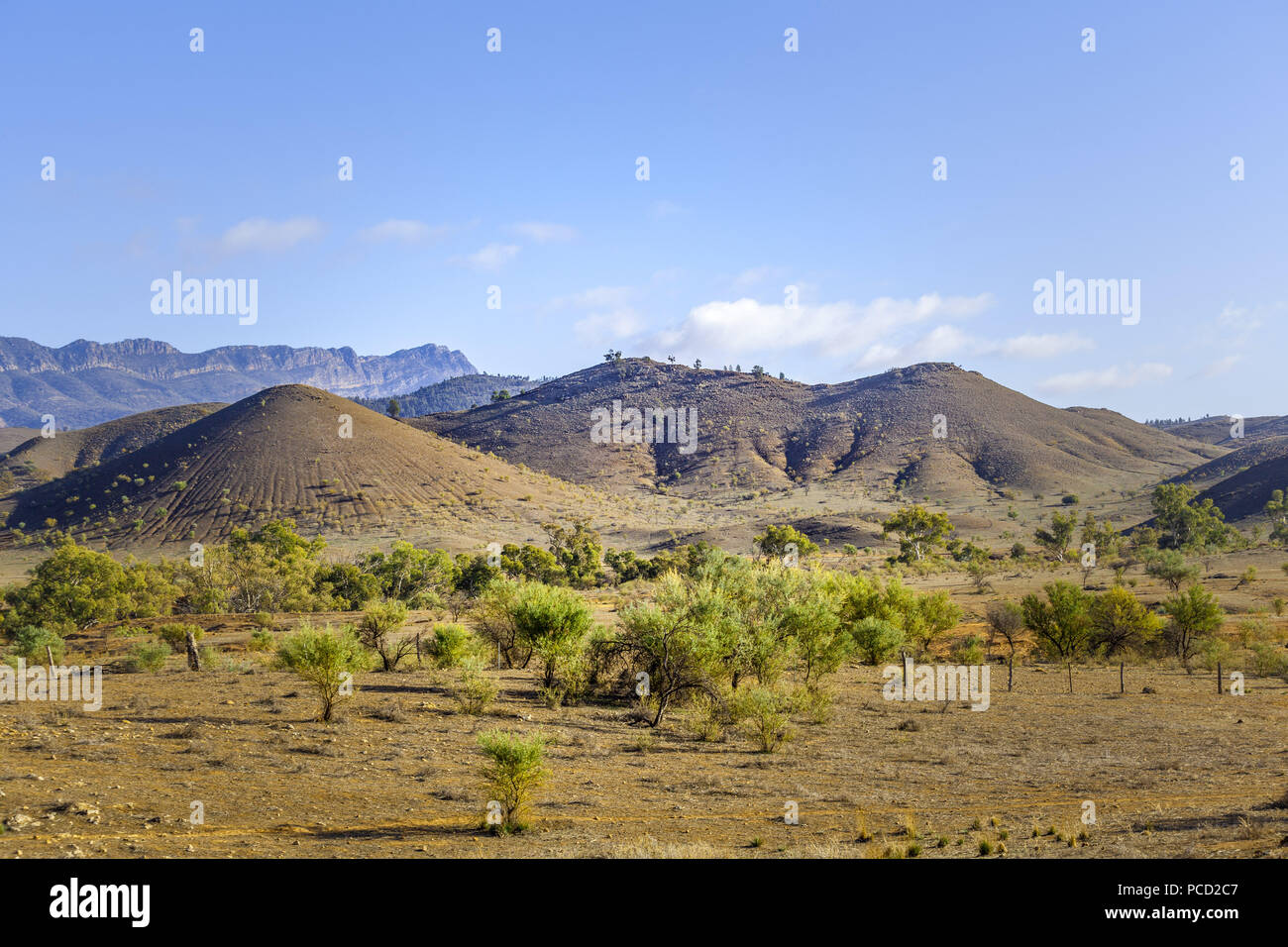 Elder ranges flinders ranges hi-res stock photography and images - Alamy