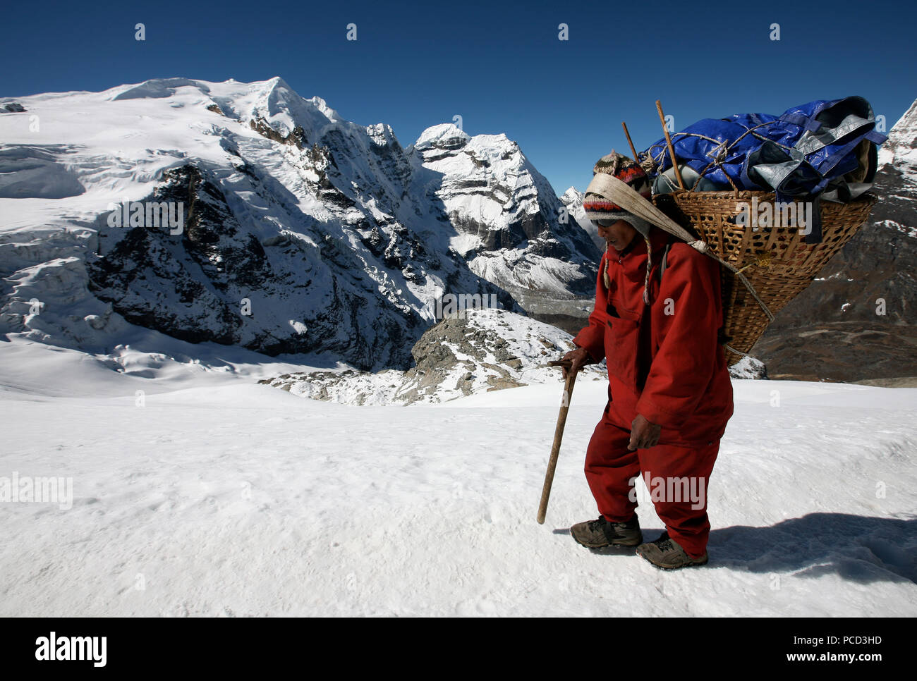 Porter carrying a load on Mera Peak, Solukhumbu, Nepal, Asia Stock ...