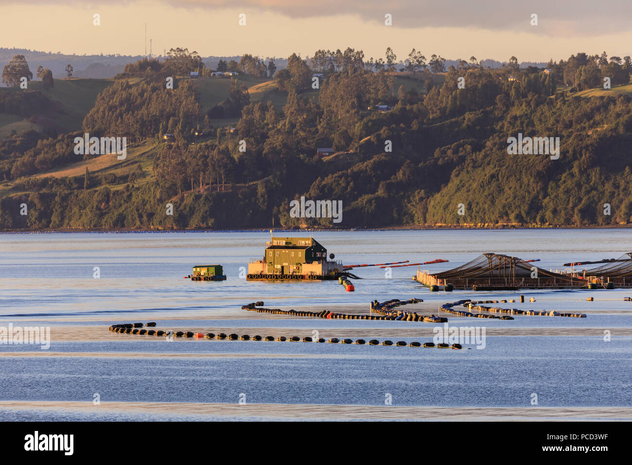 Floating house, salmon and mussel aquaculture, rural scene, late ...