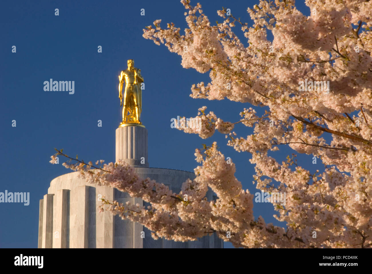 Cherry tree bloom with Oregon Pioneer, State Capitol State Park, Salem ...