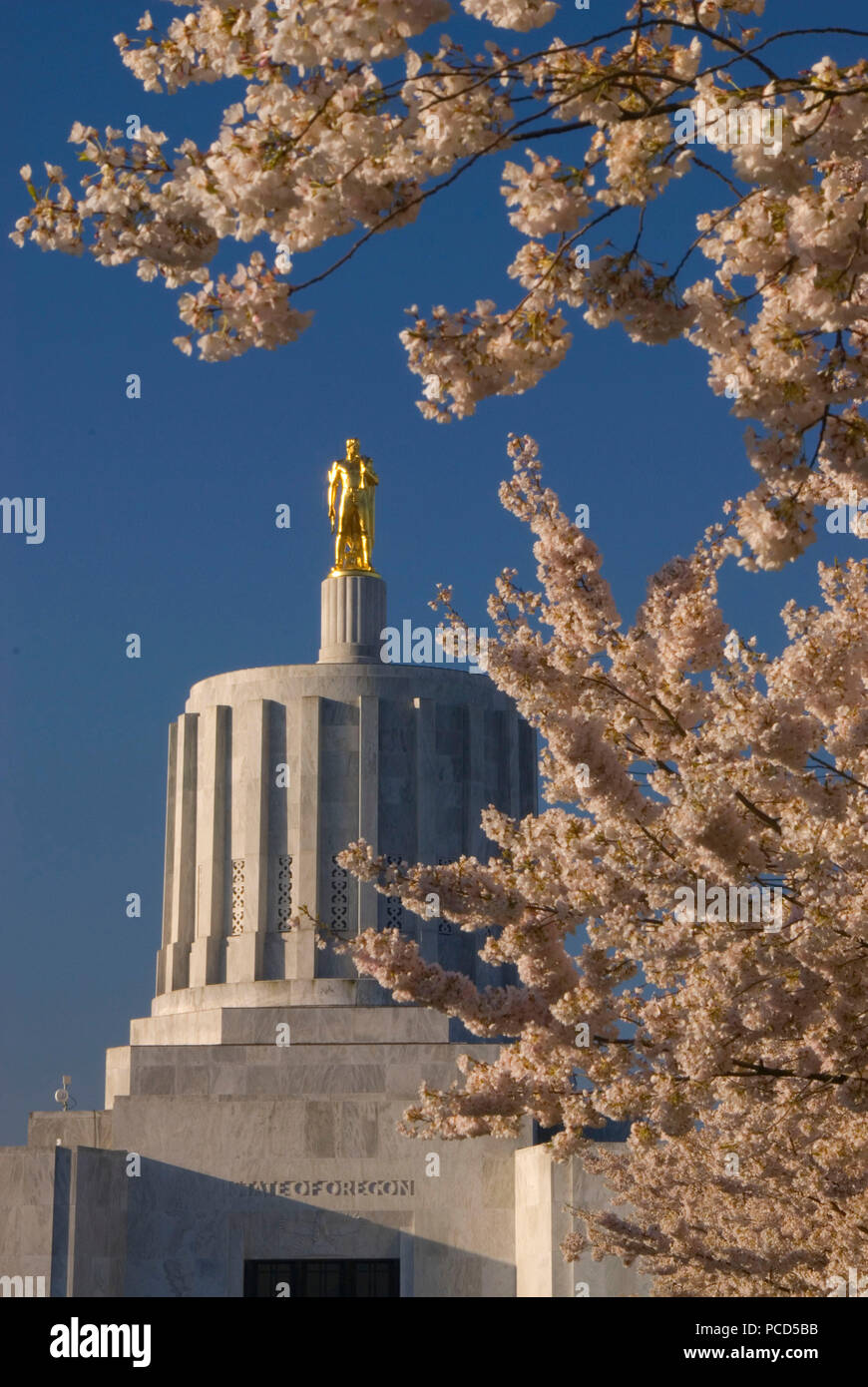 Cherry tree bloom with Oregon Pioneer, State Capitol State Park, Salem ...