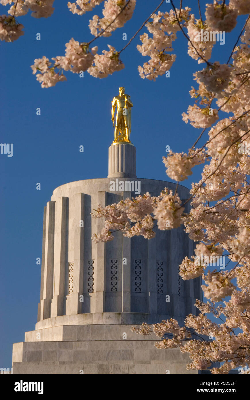 Cherry tree bloom with Oregon Pioneer, State Capitol State Park, Salem ...