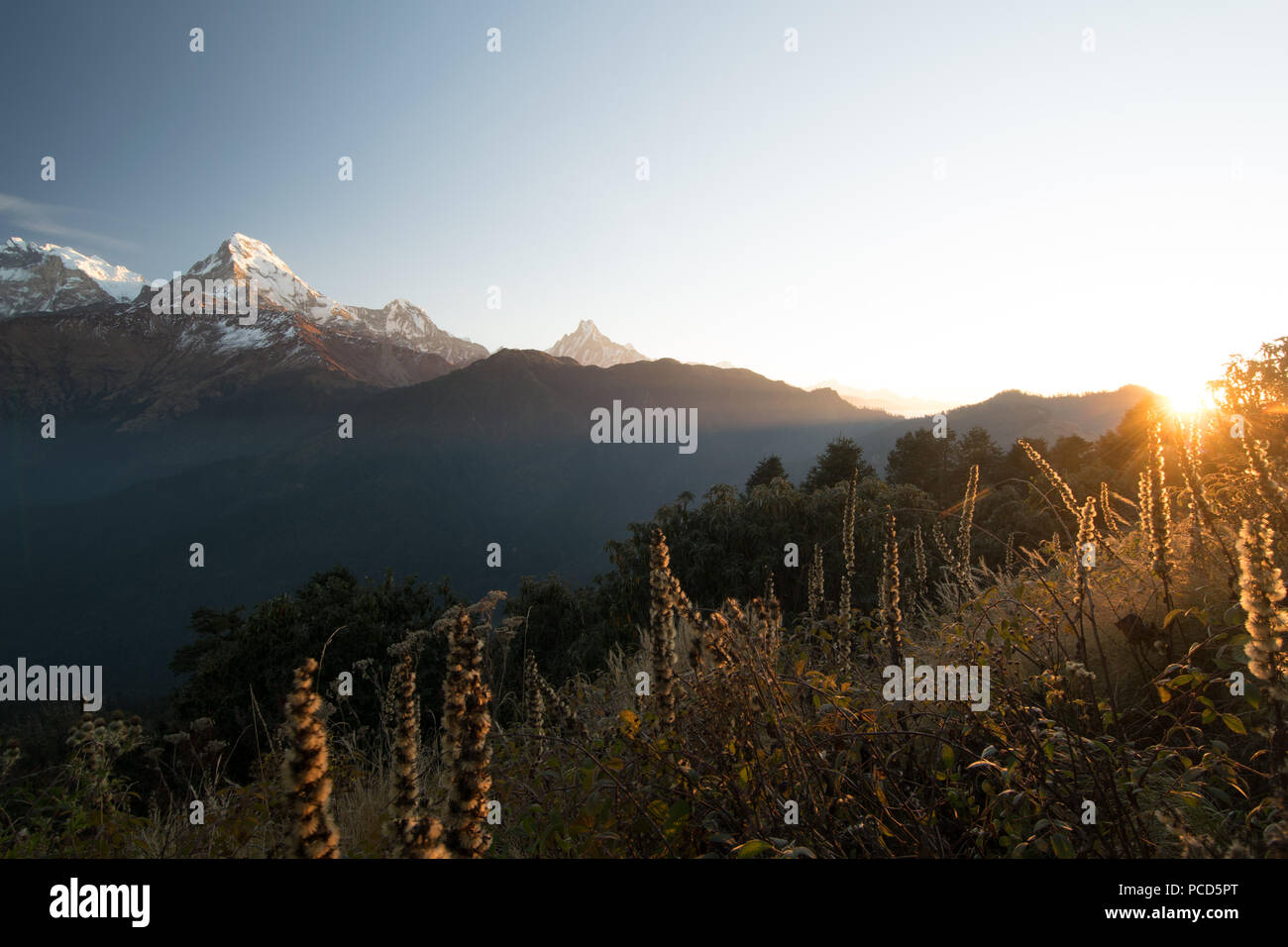 Panorama of the Annapurna mountain range in the Himalayas, from Poon ...