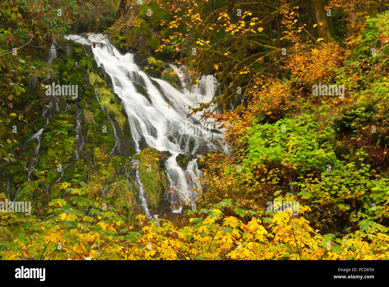 Lee wooden park hi-res stock photography and images - Alamy
