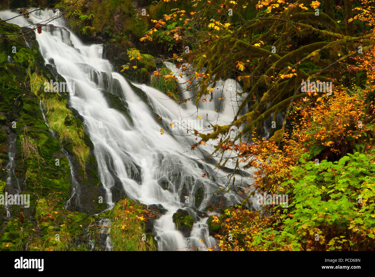Fishhawk Falls, Lee Wooden County Park, Oregon Stock Photo - Alamy