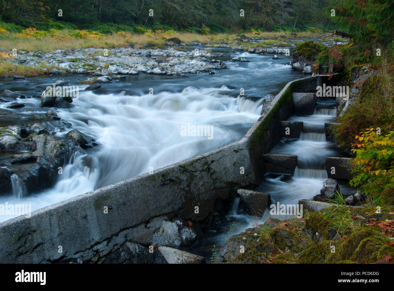 Nehalem River Falls with fish ladder, Nehalem River State Scenic ...