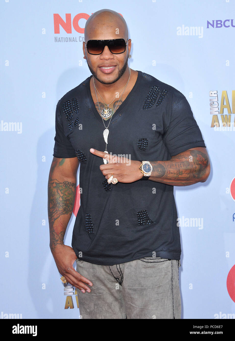 Flo Rida at the 2012 NCLR ALMA Awards at the Pasadena Auditorium in ...