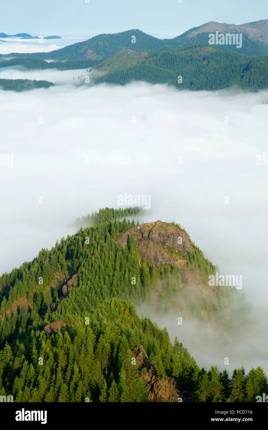 Tillamook state forest wilson river hi-res stock photography and images ...