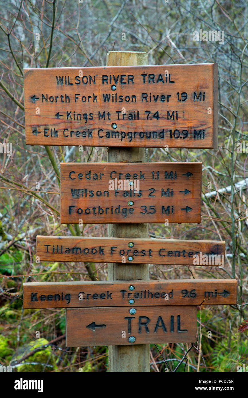 Tillamook state forest wilson river hi-res stock photography and images ...