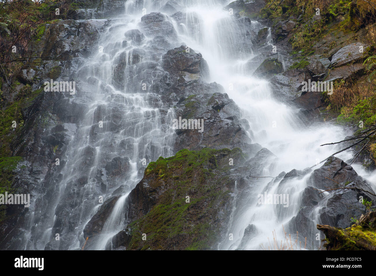 Tillamook state forest wilson river hi-res stock photography and images ...