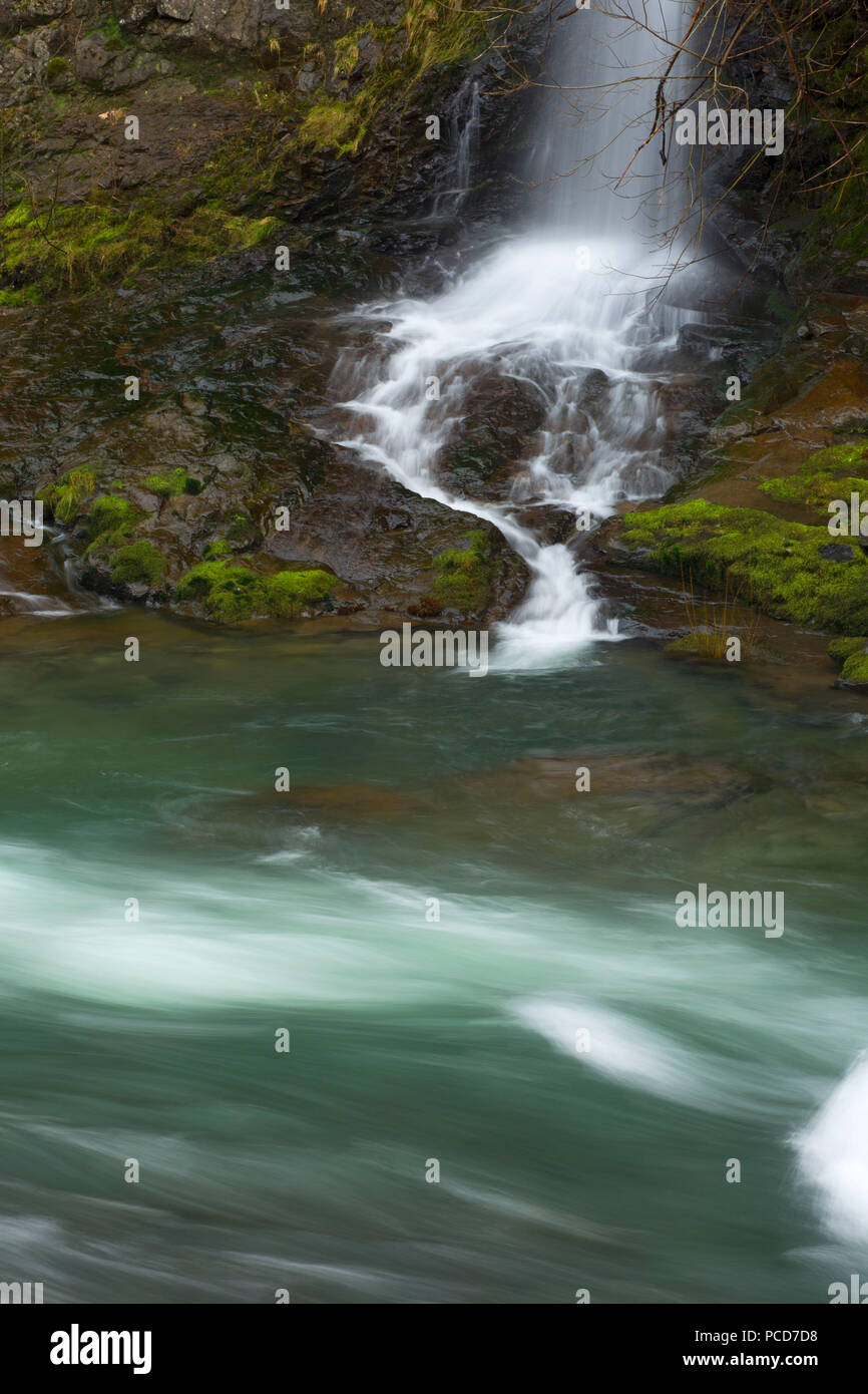 Lower Bridge Creek Falls along Wilson River Trail at Footbridge ...