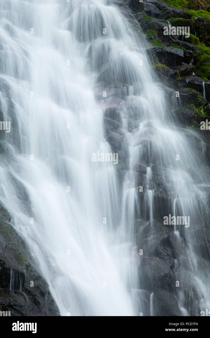 Bridge Creek Falls, Tillamook State Forest, Oregon Stock Photo - Alamy
