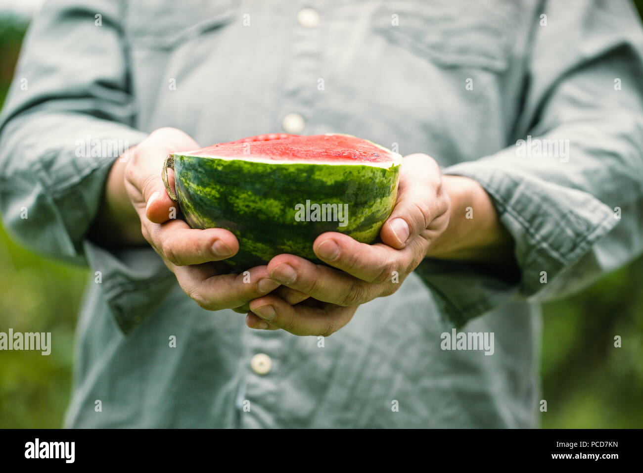Vegetable watermelon worker working hi-res stock photography and images ...