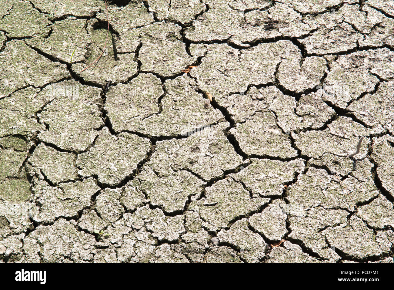 Dry cracked earth due to hot weather and drought Stock Photo - Alamy