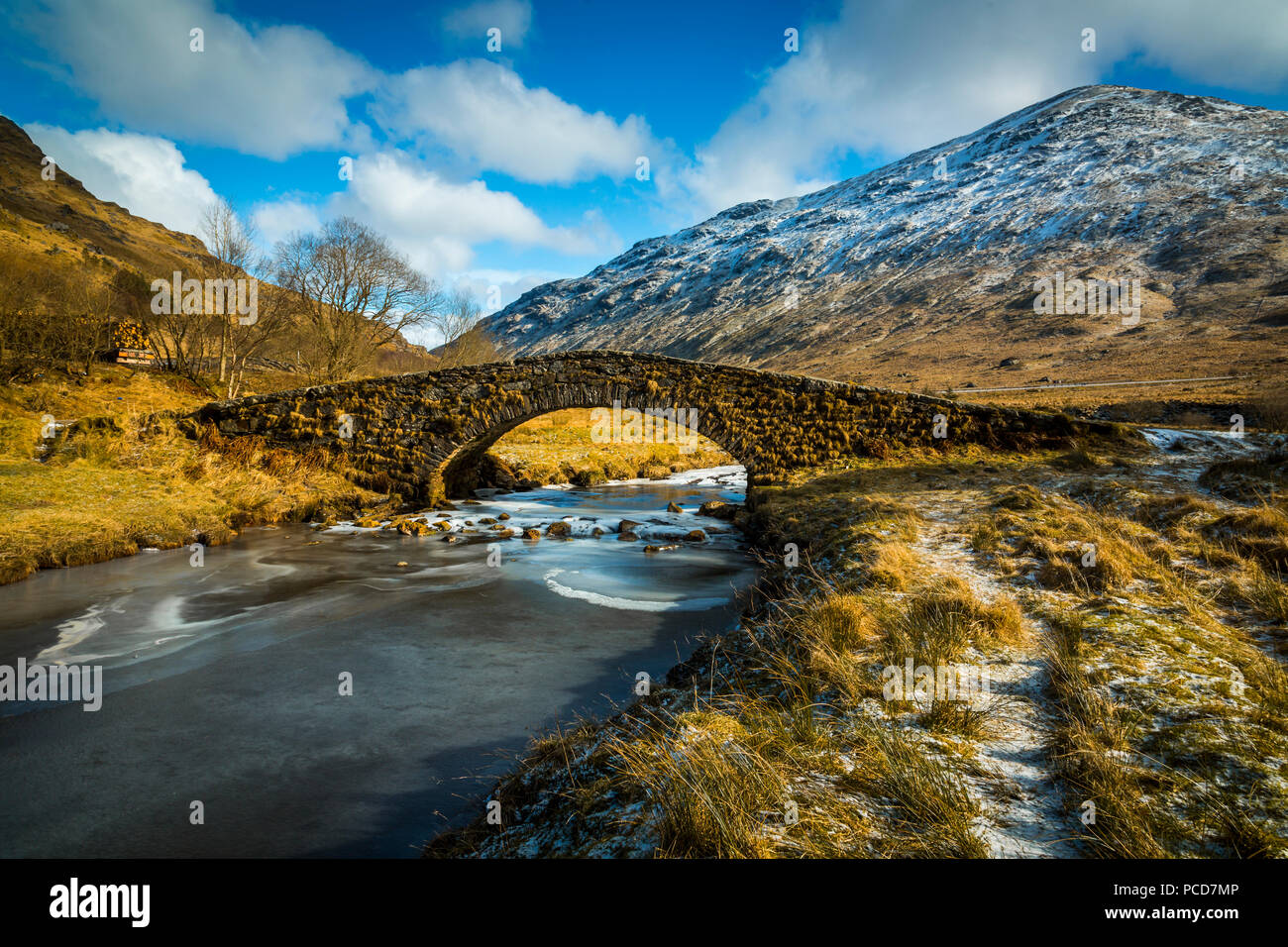 Argyll forest park scotland hi-res stock photography and images - Alamy Argyll forest park scotland hi-res stock photography and images - Alamy