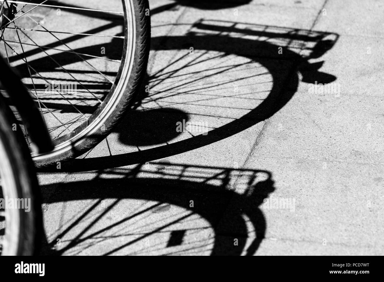 Light cycle Black and White Stock Photos & Images - Alamy