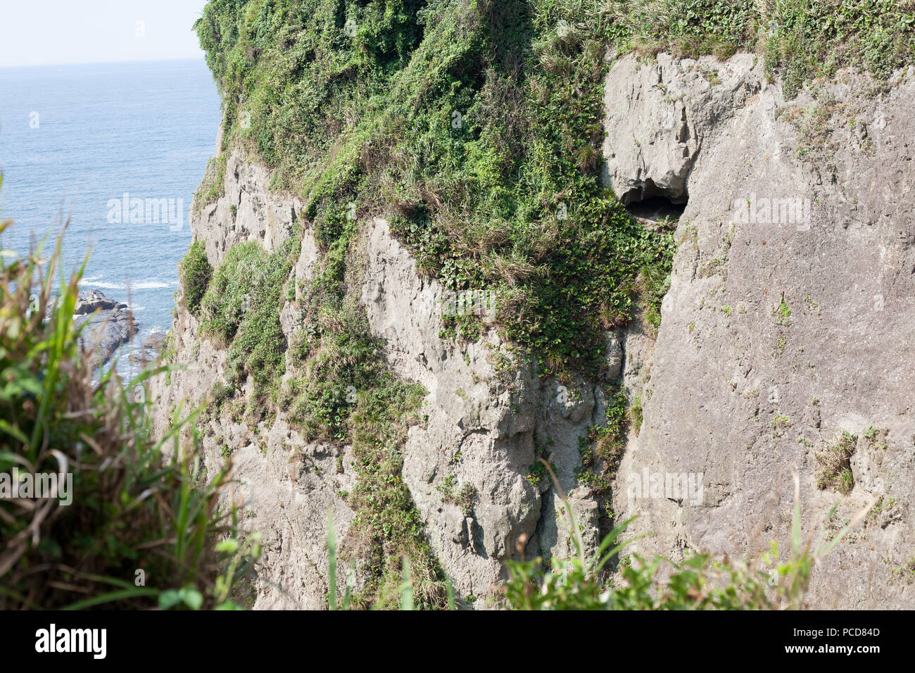 Sheer seas cliff in Kanagawa, Japan Stock Photo - Alamy