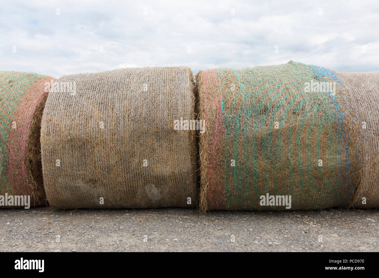 Stacked hay balesafter the harvest, winter fodder for animals Stock ...