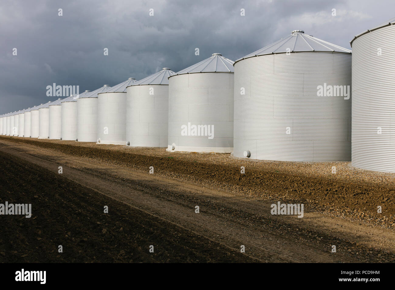 Rows of grain silos, stormy skies in distance, Saskatchewan, Canada ...