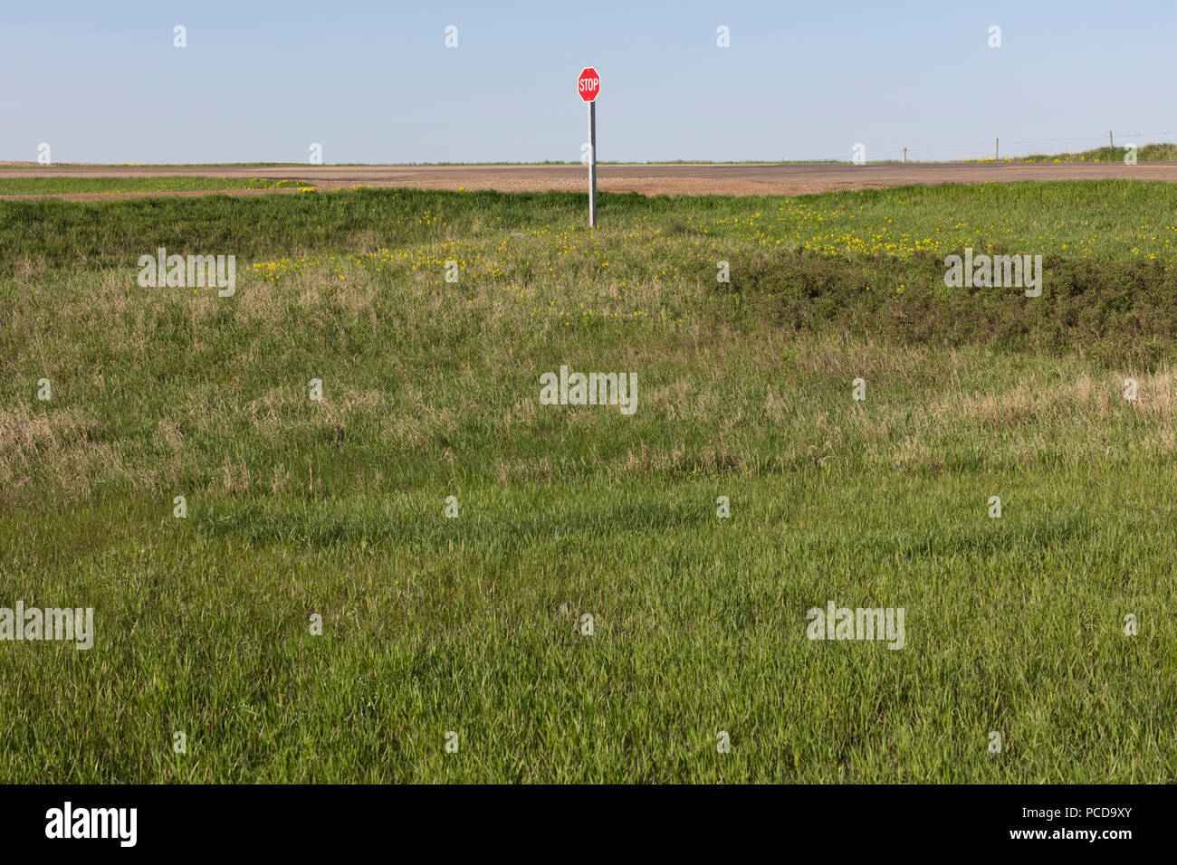 Stop sign along rural road and farm, near Cadillac, Saskatchewan ...