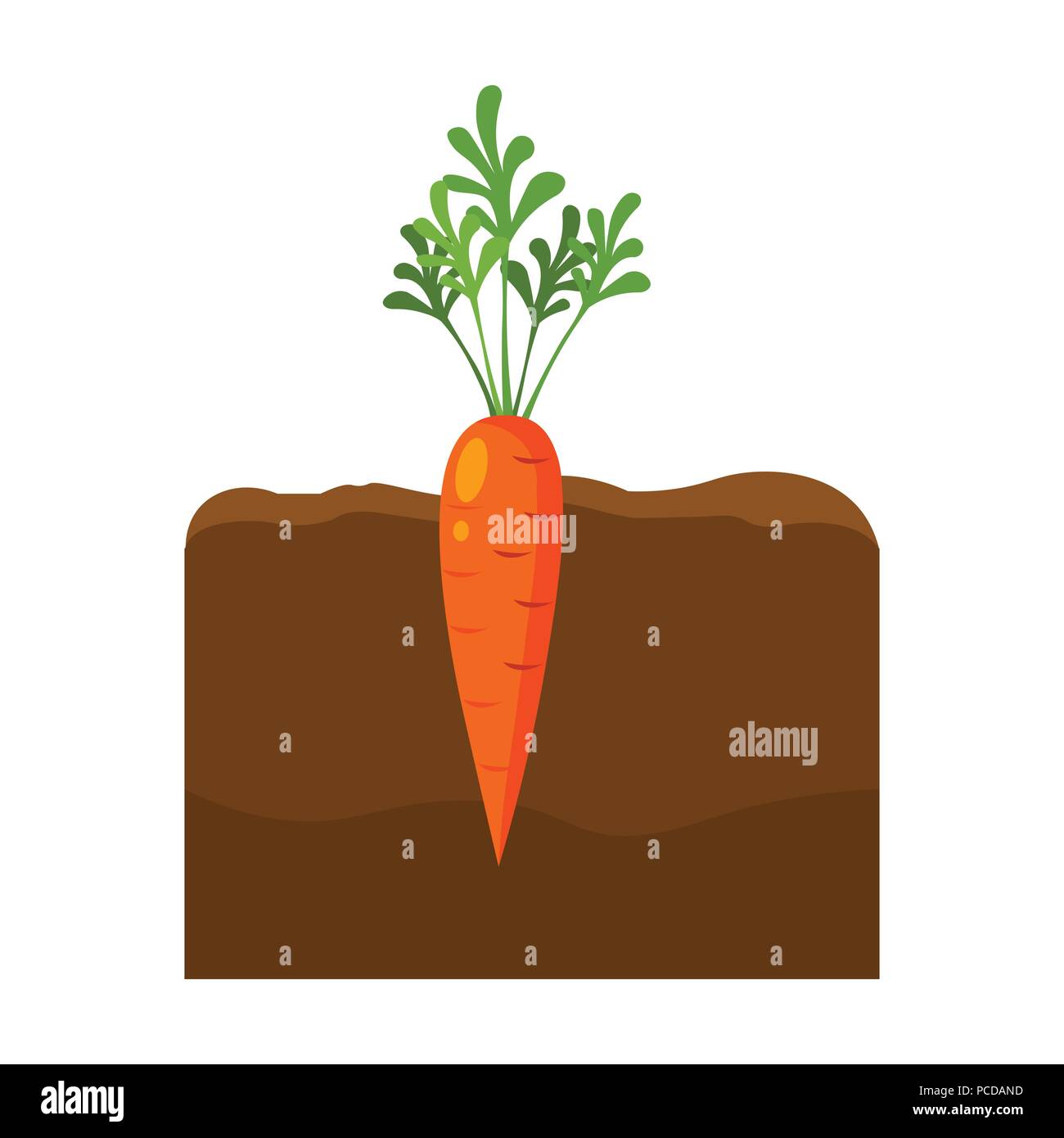 Carrot icon cartoon. Single plant icon from the big farm, garden ...