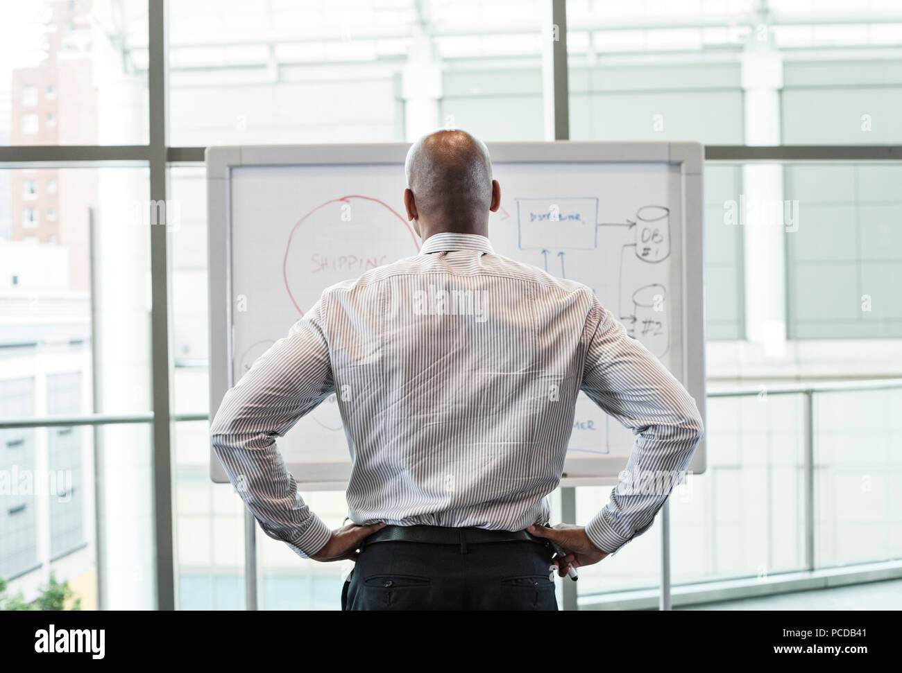 View from behind of a businessman standing at a white board in front of ...