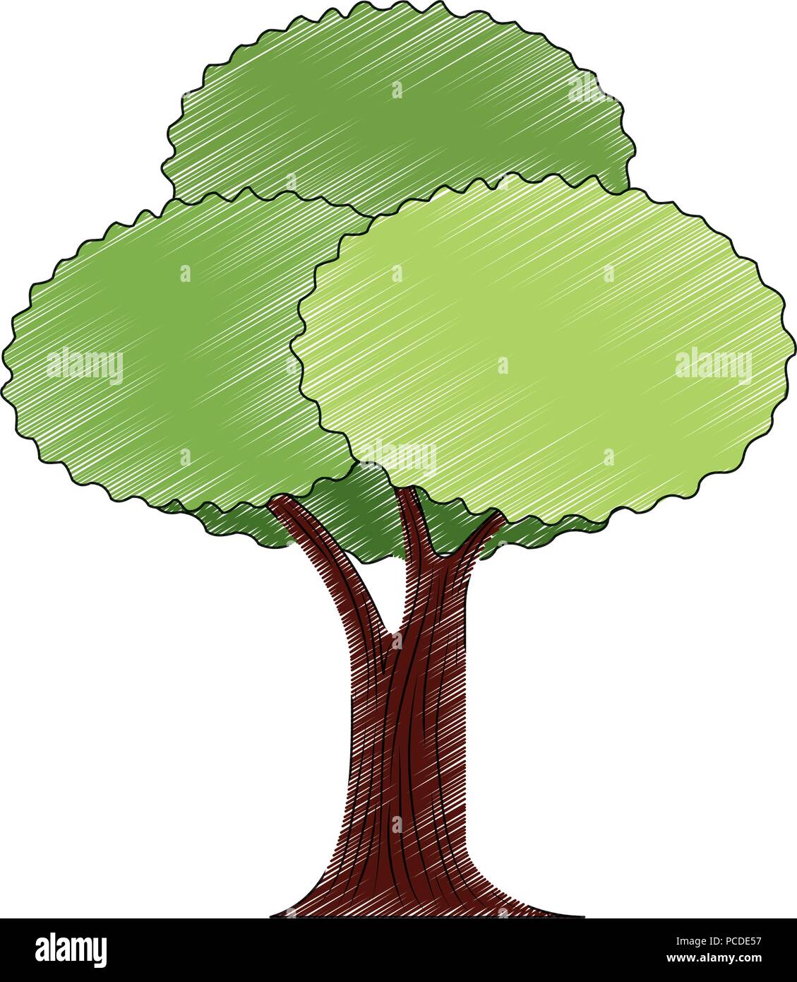 tree plant isolated icon vector illustration design Stock Vector Image ...