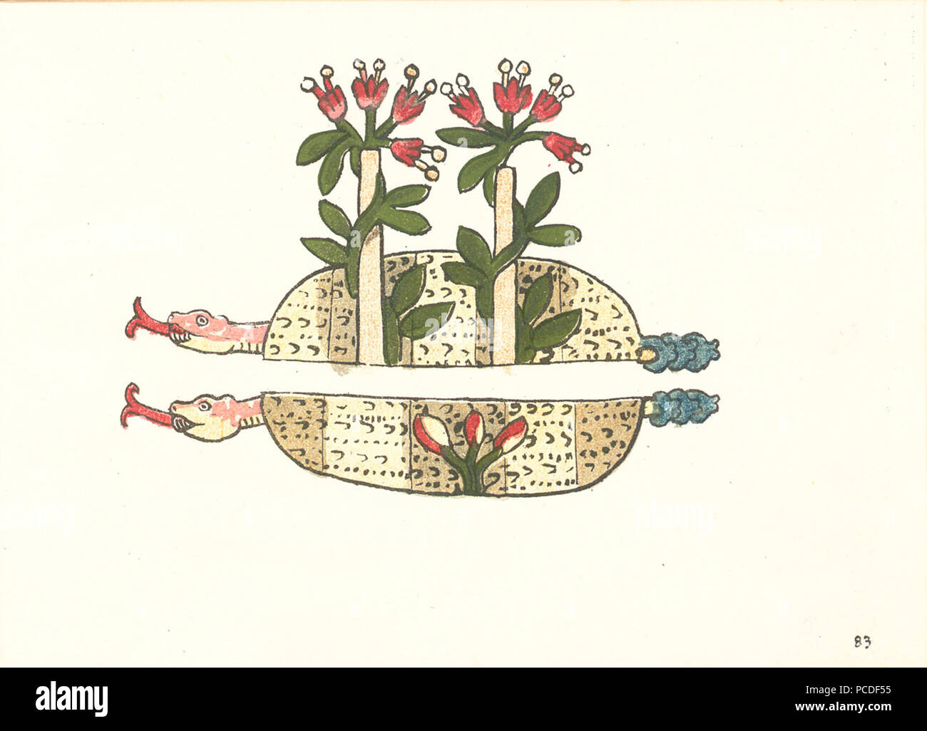 15 Codex Magliabechiano (folio 83r Stock Photo - Alamy