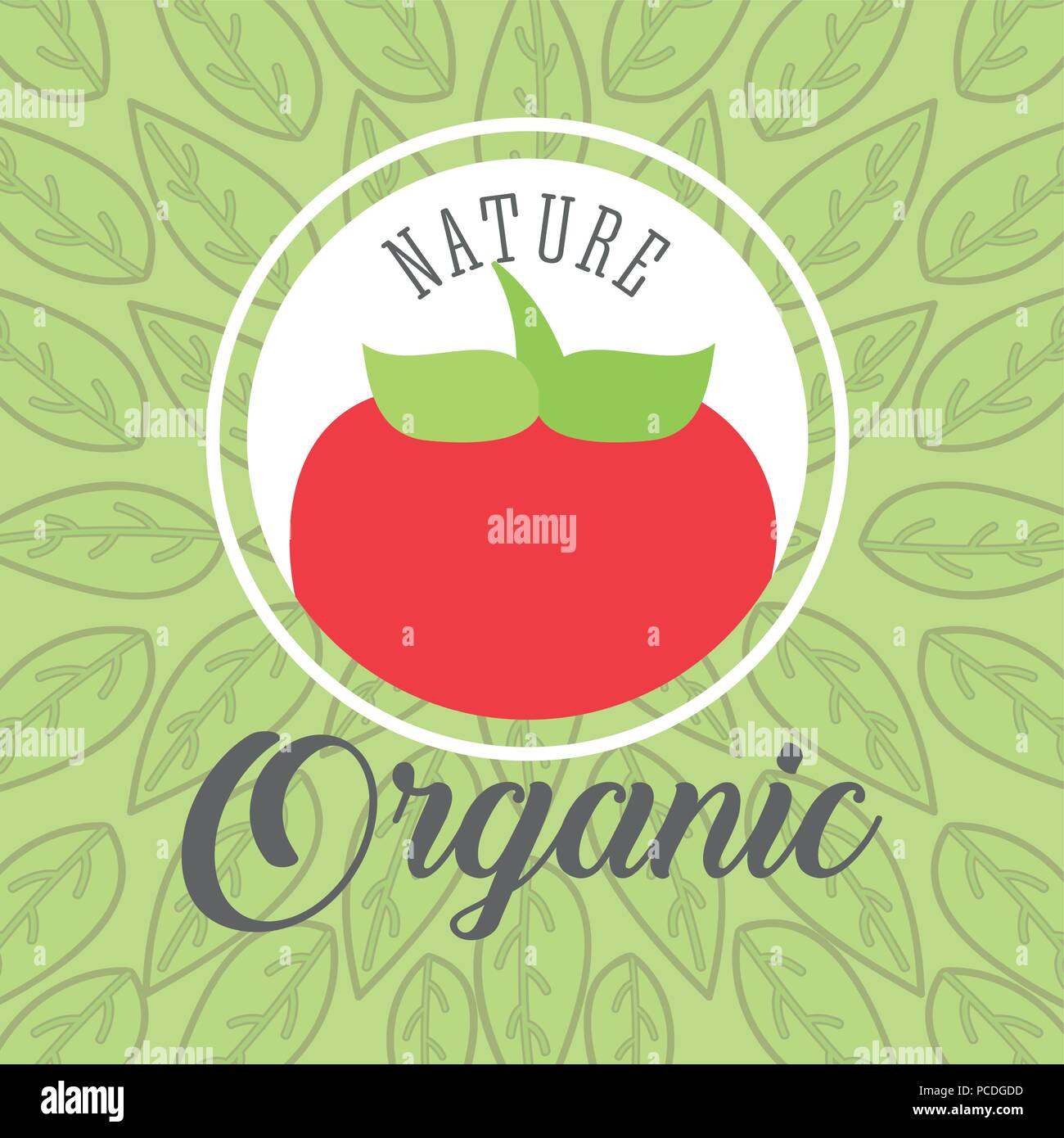 leaves background label tomato nature organic vector illustration Stock ...