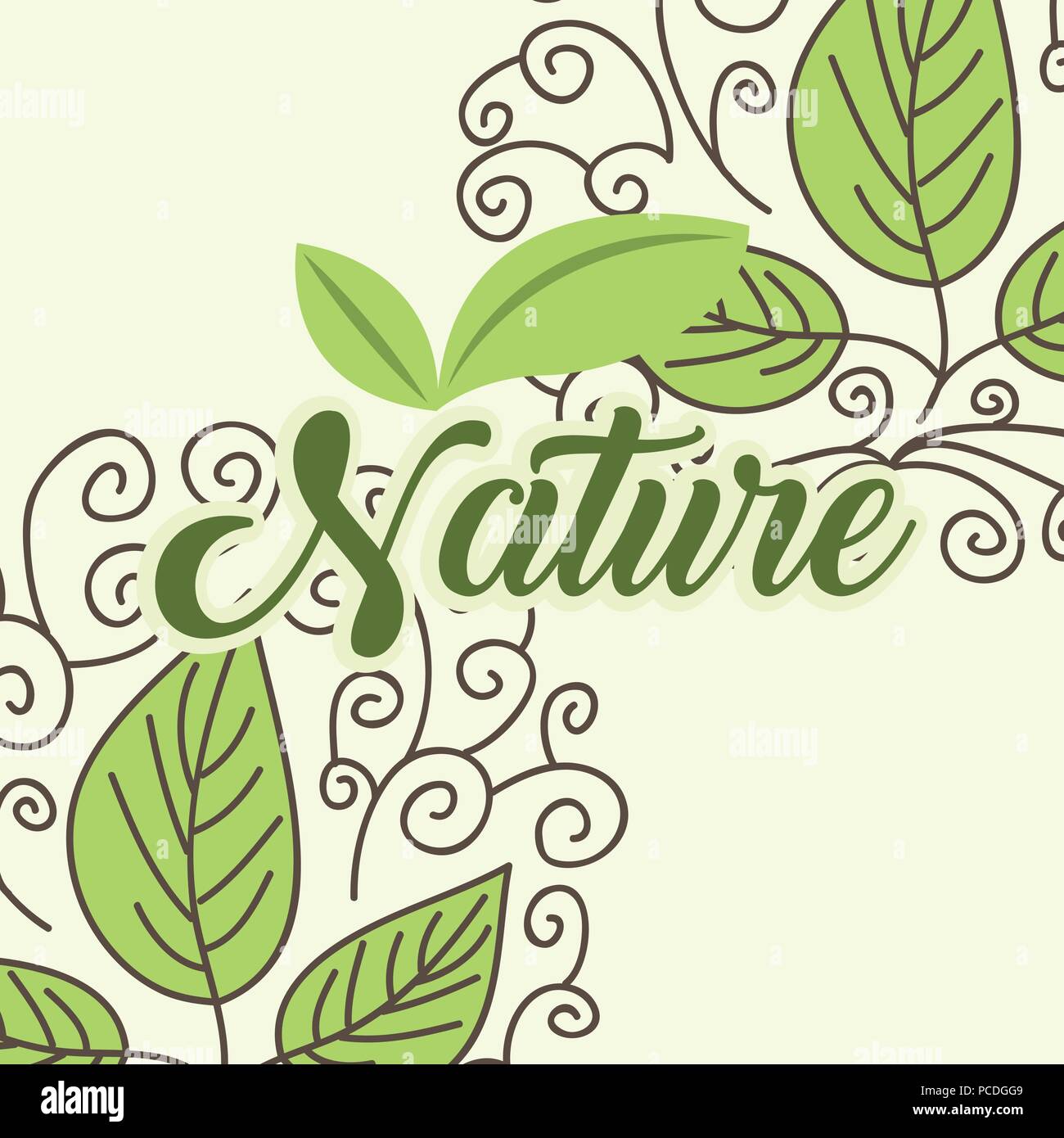 leaves scroll decoration nature card vector illustration Stock Vector ...