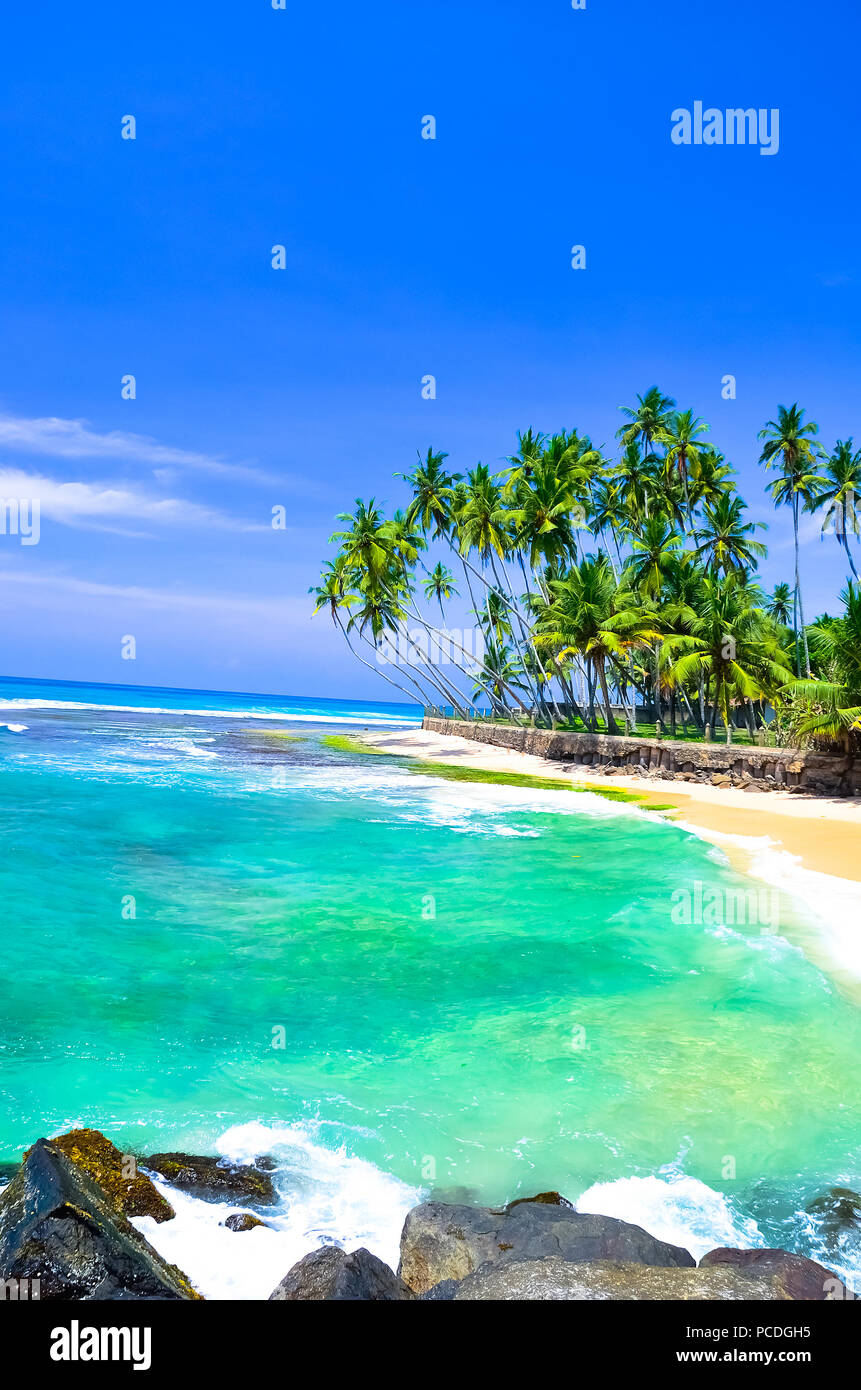 Beautiful beach landscape in Sri Lanka Stock Photo - Alamy
