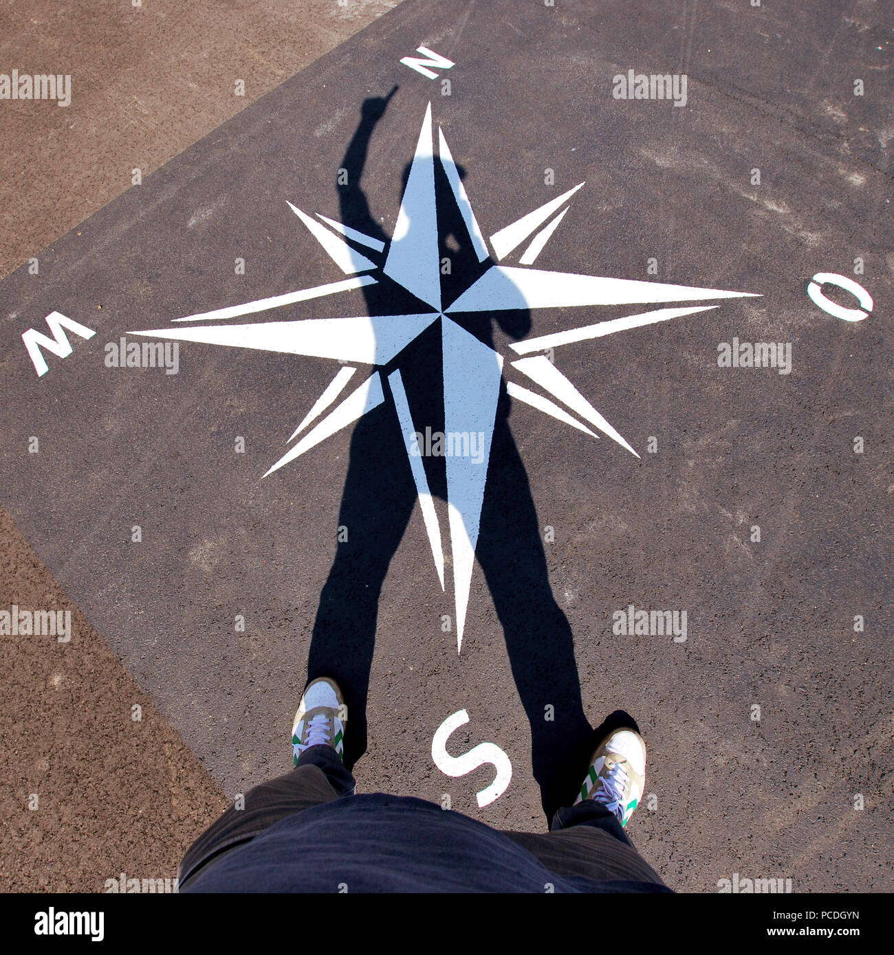 Cardinal Drawing Stock Photos & Cardinal Drawing Stock Images - Alamy