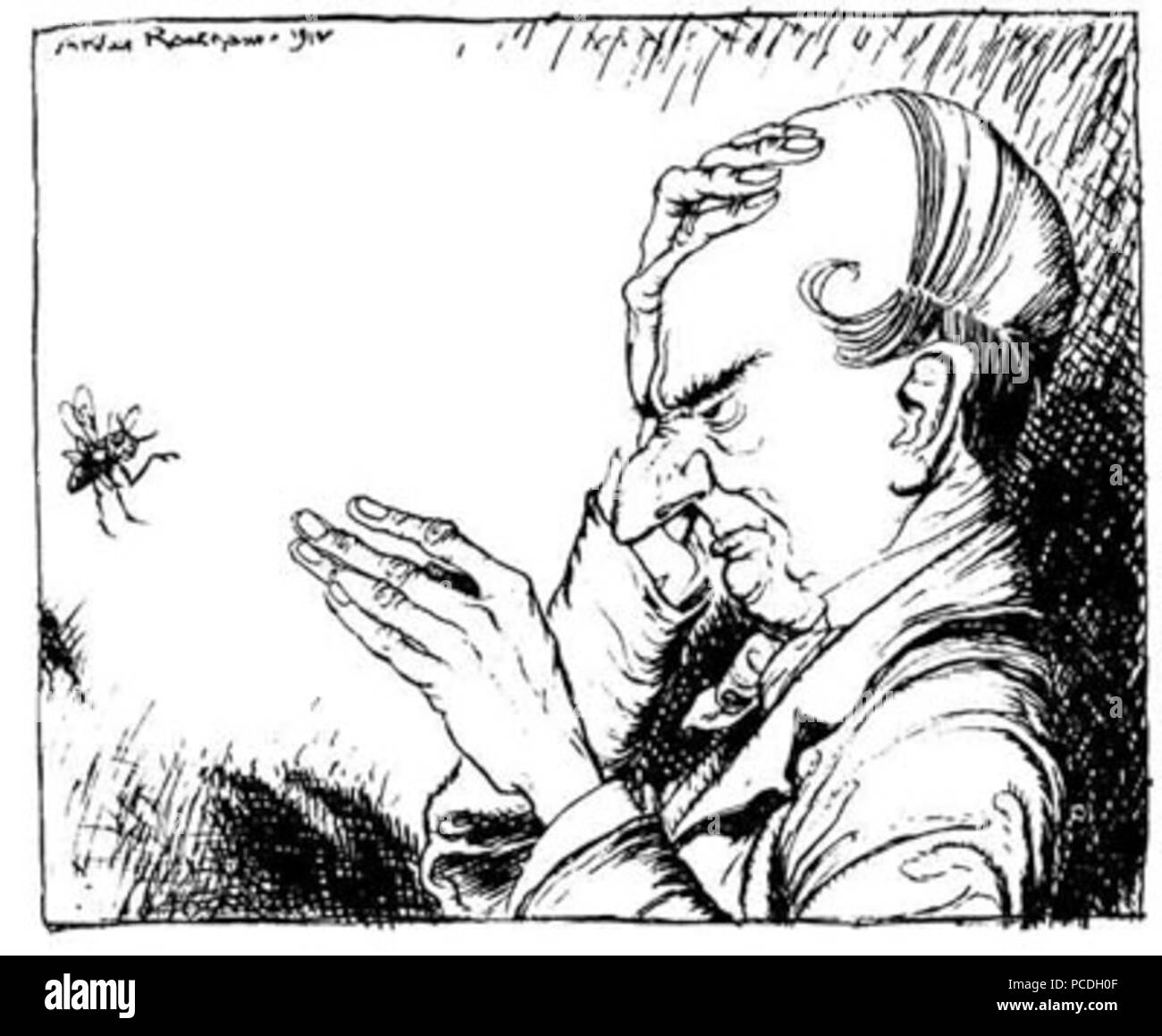 Insect identification entomology classification Black and White Stock ...