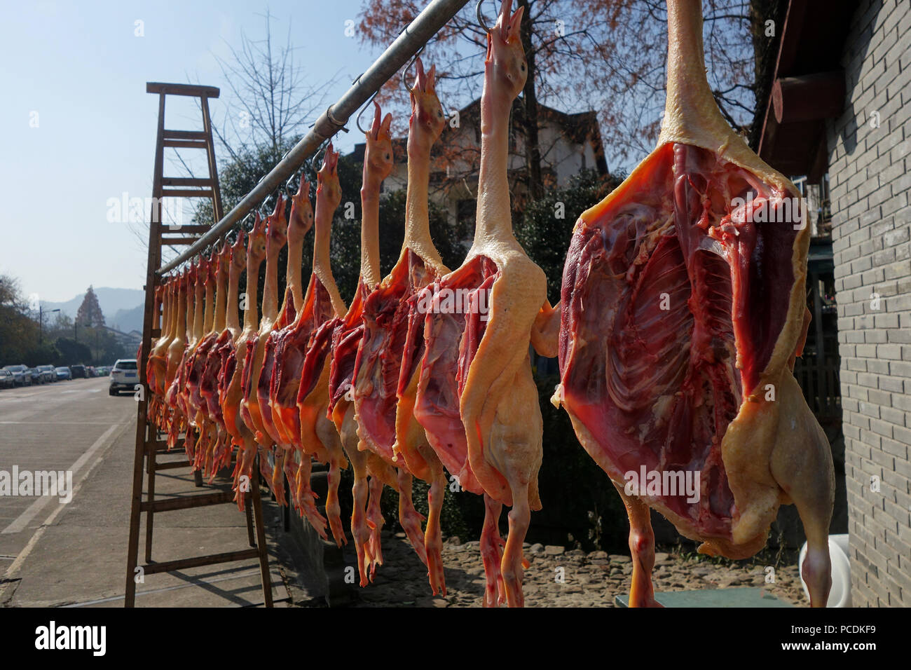 The suspended pieces of the meat drying outside on the sun Stock Photo ...