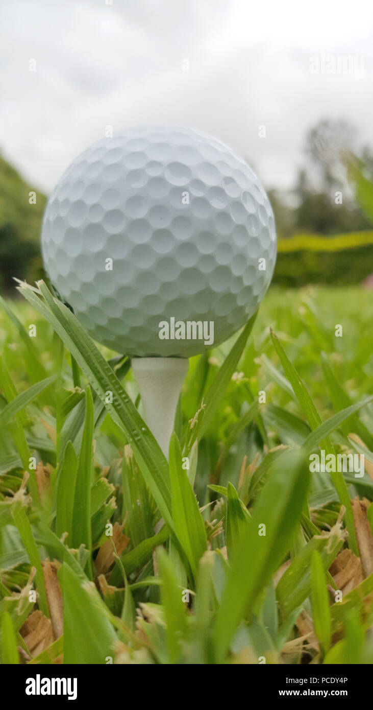 Fairway grass hi-res stock photography and images - Alamy