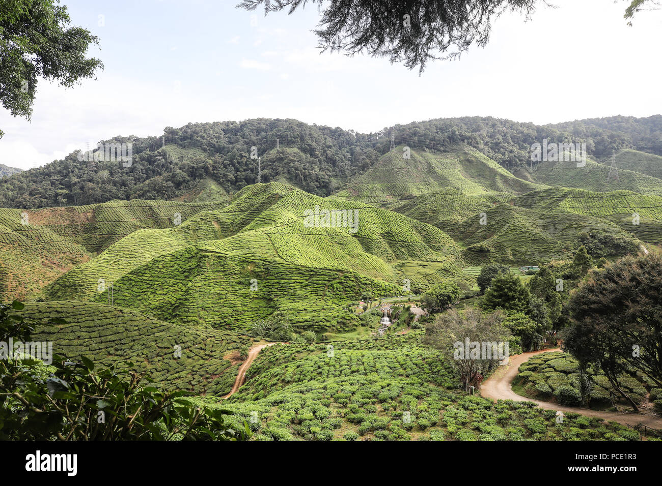 Cameron hill hi-res stock photography and images - Alamy